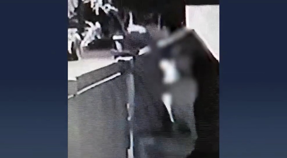 Câmera de segurança flagra homem furtando vaso de planta de casa em ...