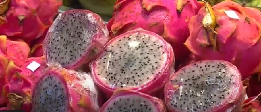 Frutas da estação: conheça espécies do outono e benefícios