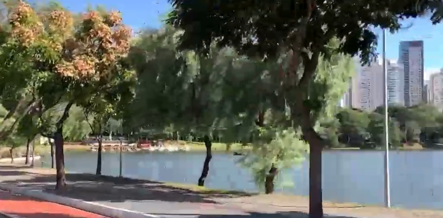 Conheça a Avenida Higienópolis, uma das mais importantes de Londrina