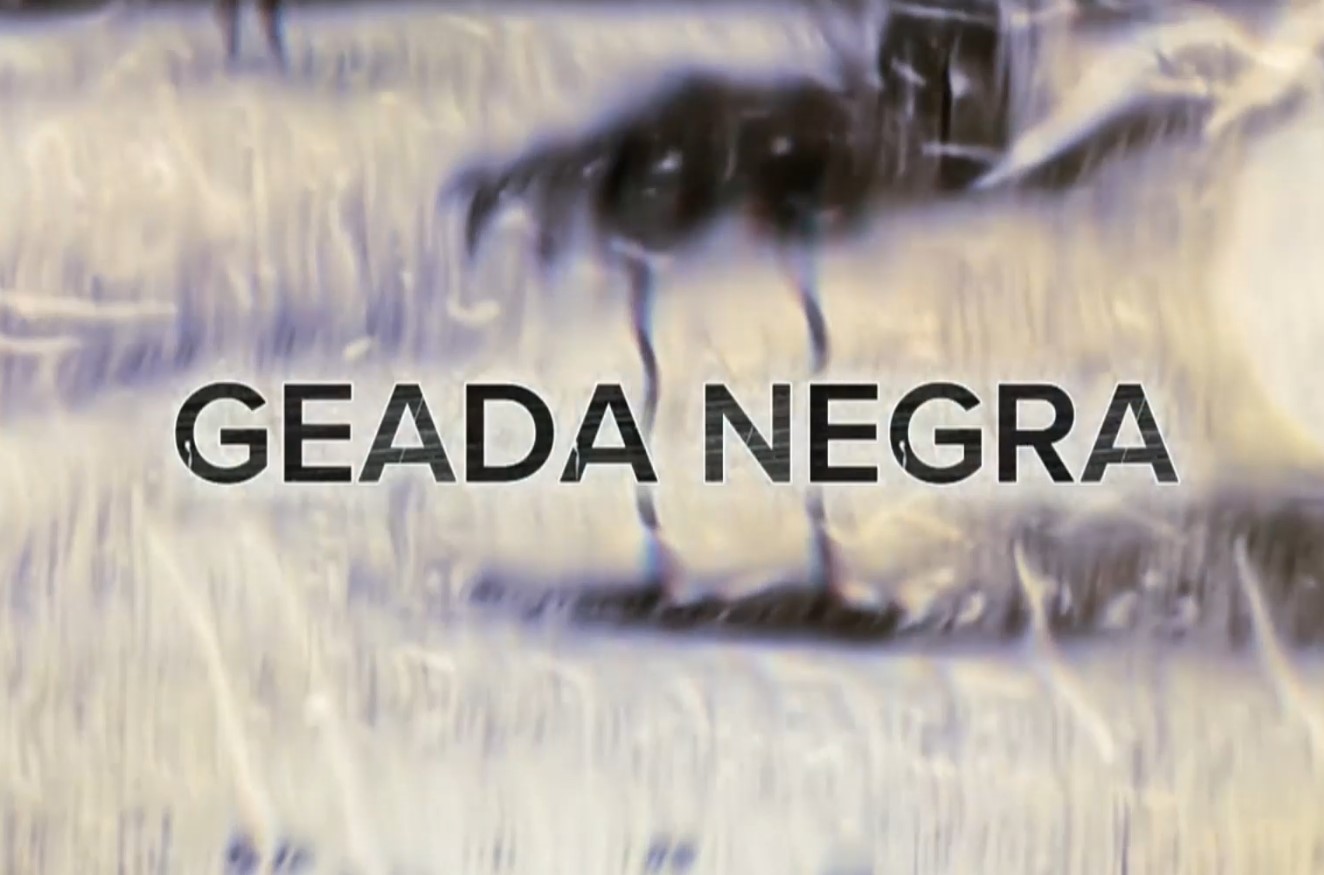 Confira o segundo episódio da série Geada Negra: 50 anos do dia que ...
