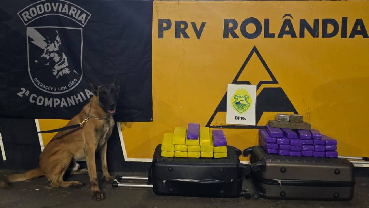 Homem é preso levando mais de 25 quilos de maconha em ônibus para São Paulo